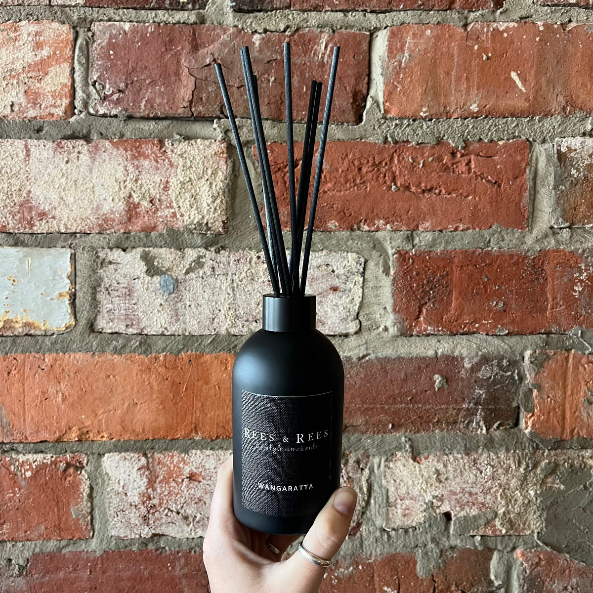 Wangaratta by Rees and Rees | Diffuser – ReesandRees