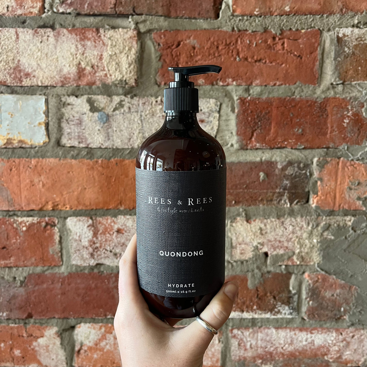 Quondong by Rees and Rees | Hydrate – ReesandRees